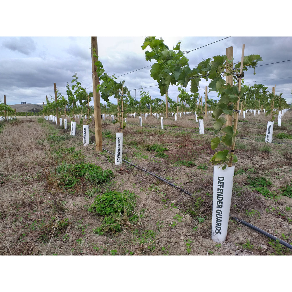 Defender Guards - Biodegradable Tree Guard / Vine Guard - Harvest ...